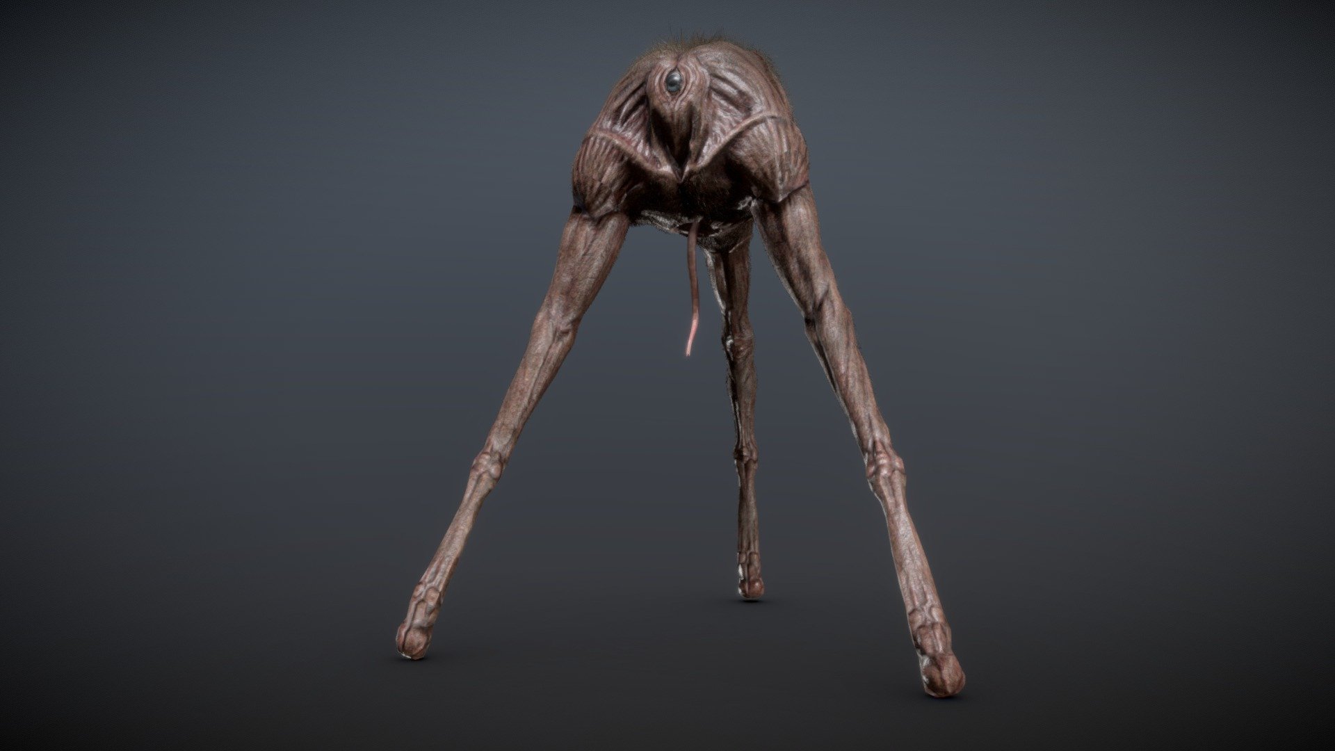 Tripod - Buy Royalty Free 3D model by b3ngon (@benbeauart) [b56f0fb ...