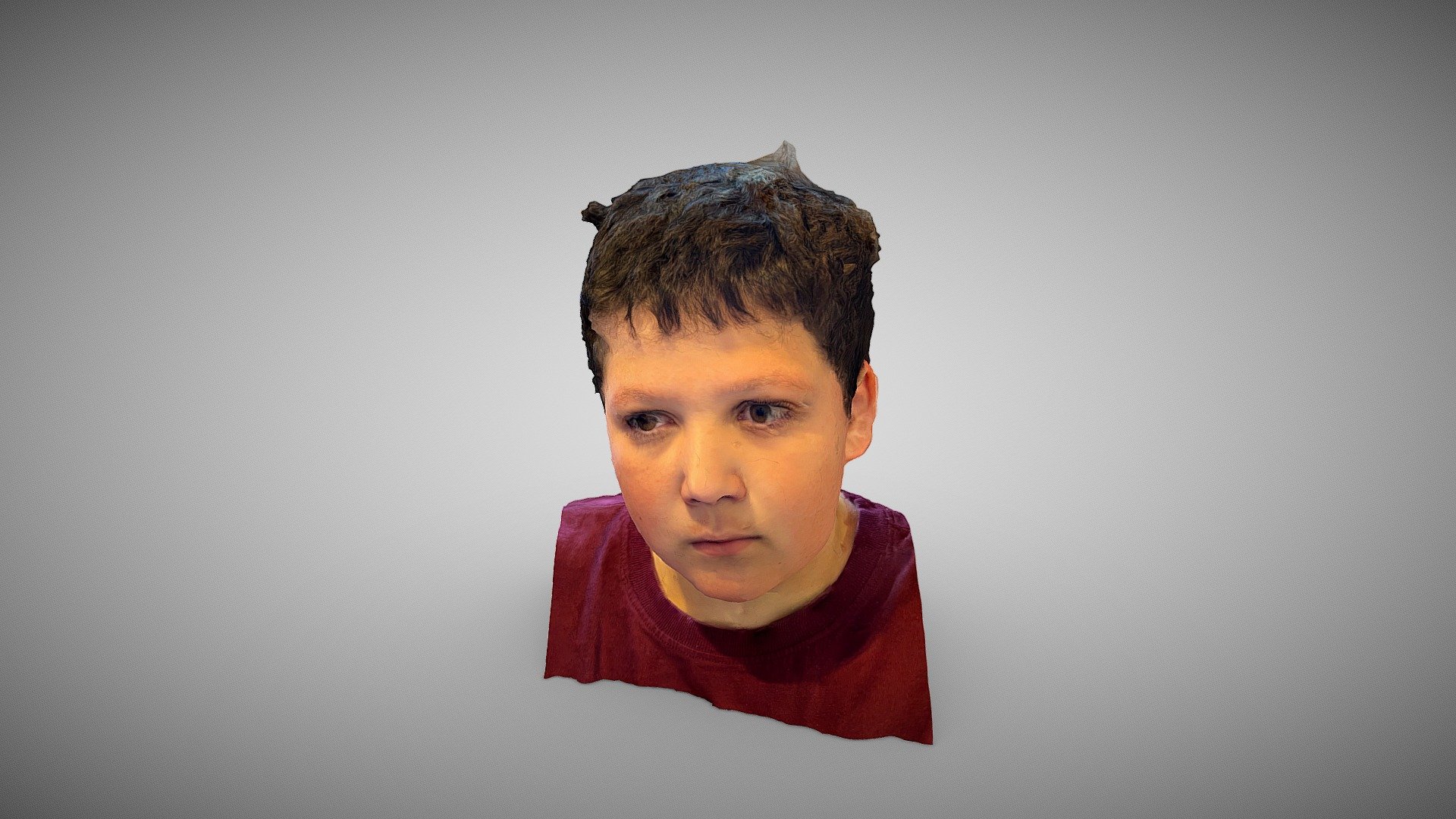 Polycam capture - Download Free 3D model by archangenithael [b57c147 ...