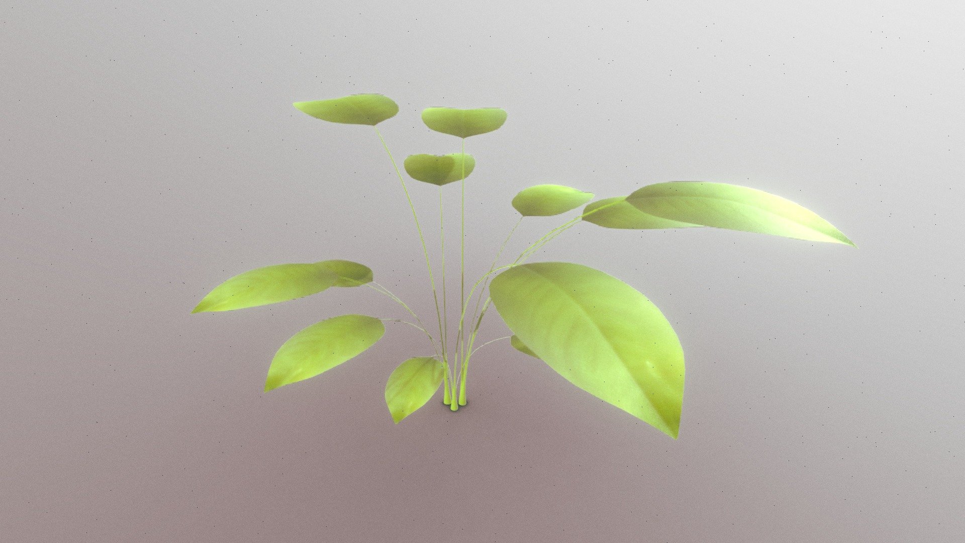 plant_simple.000 - Download Free 3D model by c.gleison [b57ea94 ...