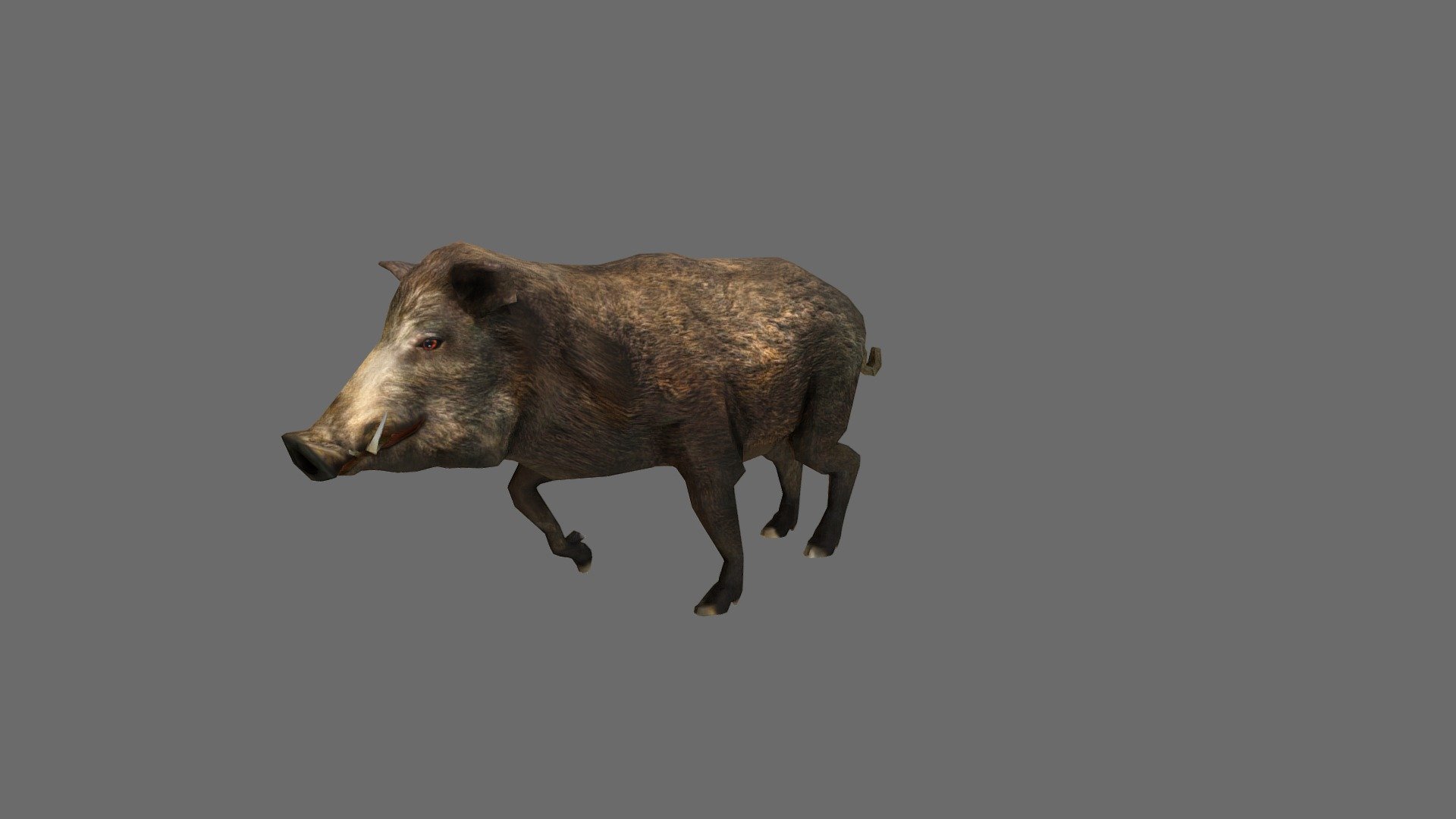 Boar - 3D model by josluat91 [b584aab] - Sketchfab
