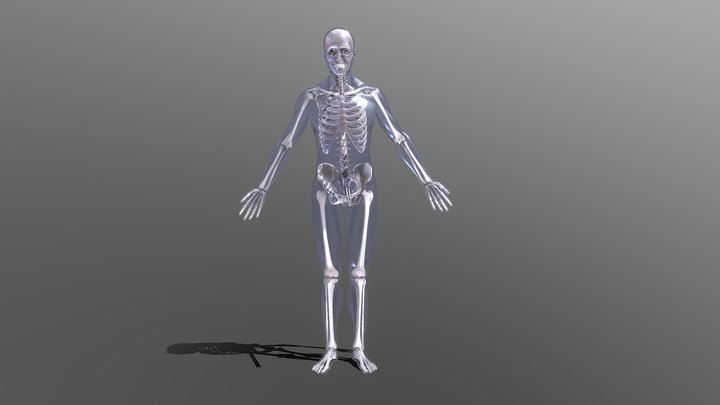 Robertf91 - Sketchfab