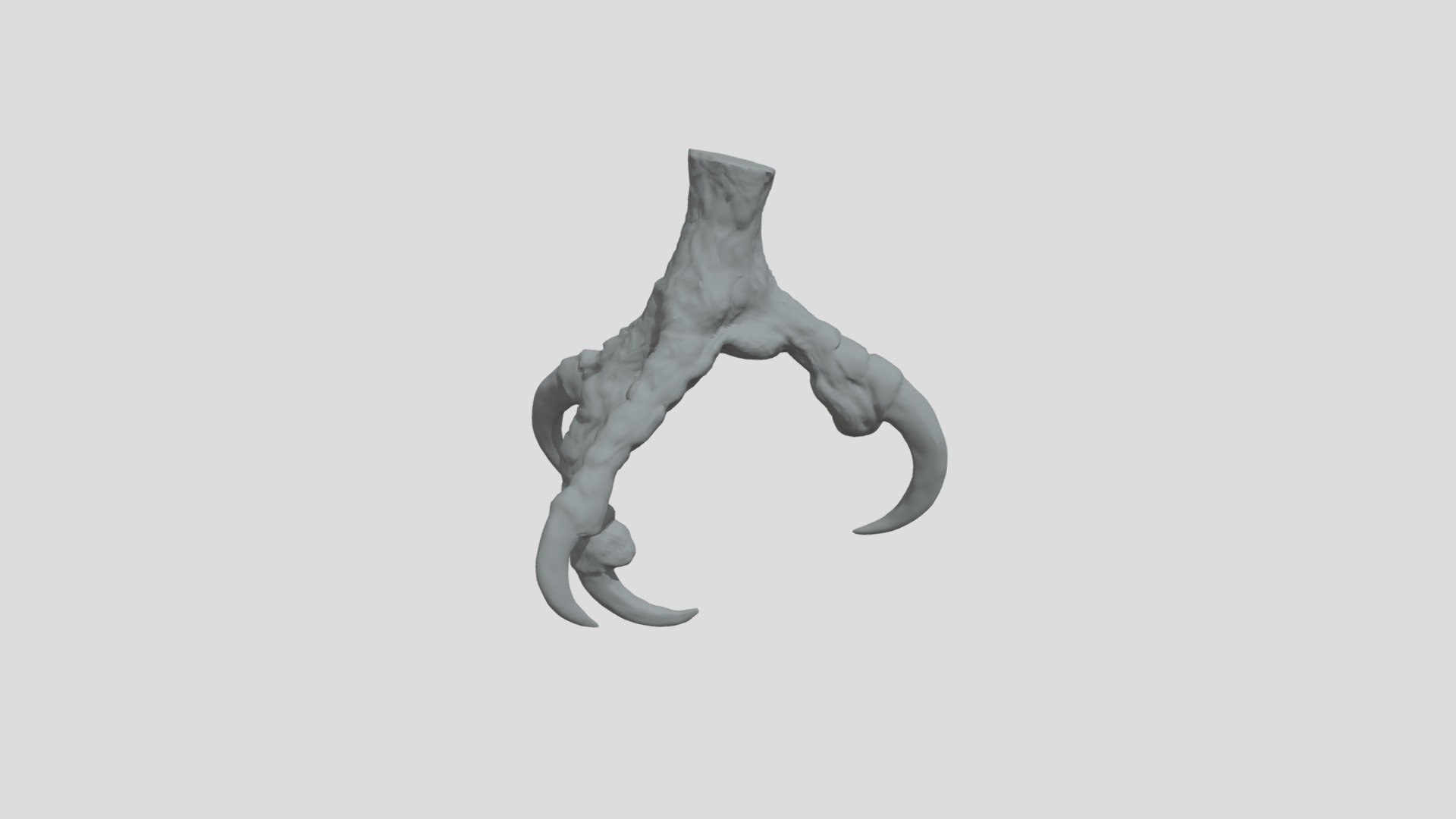 patte_scan_30k_OBJ - 3D model by apollonios [b5a0115] - Sketchfab