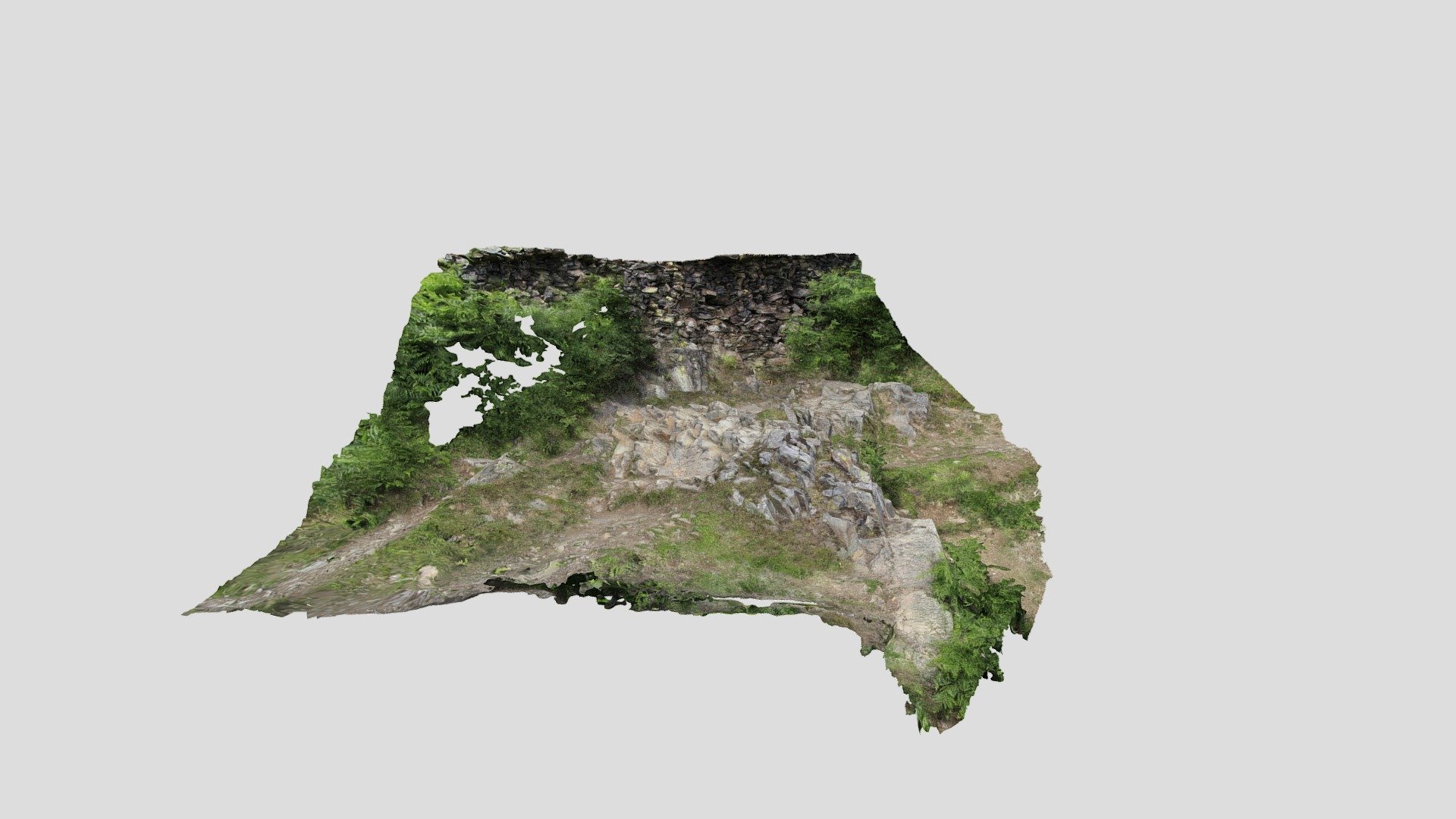 South of Coppice Plantation 2 (Bradgate) - 3D model by Department of ...