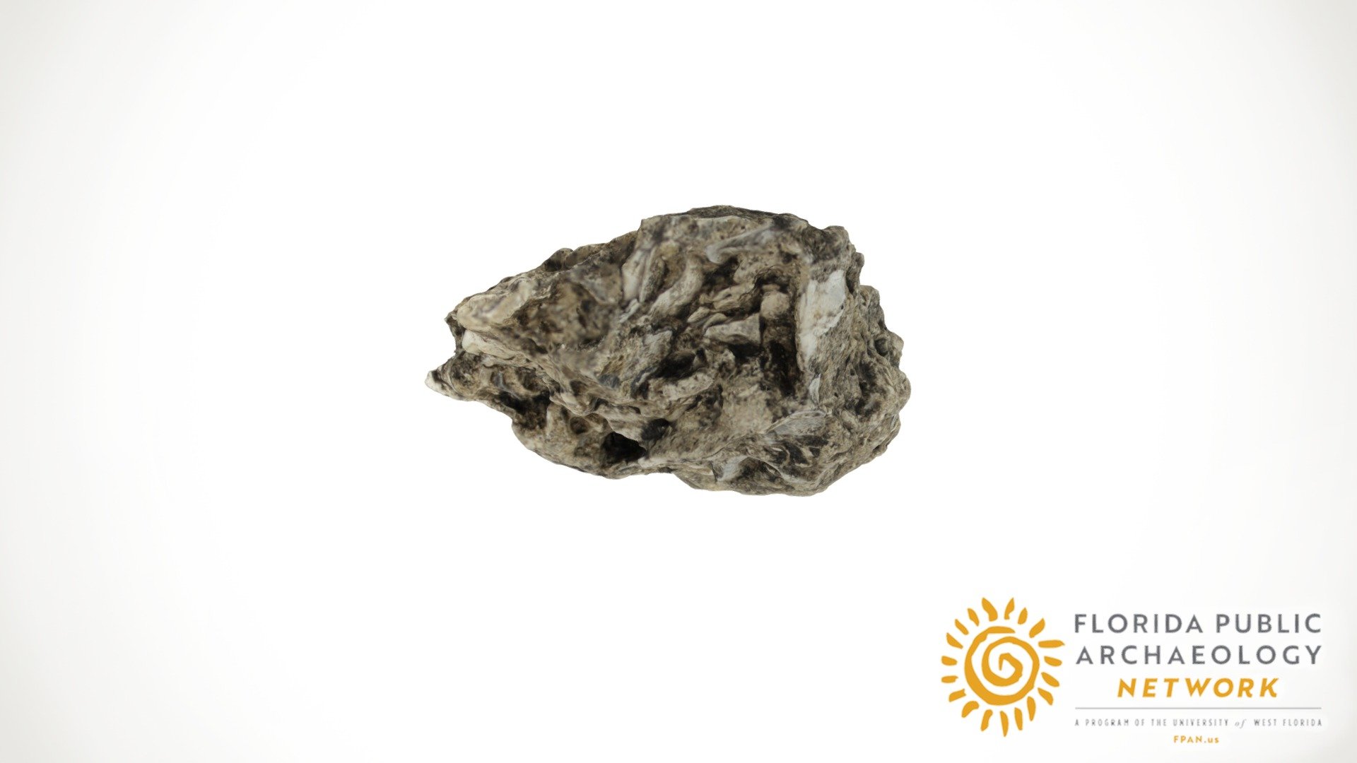 Kingsley Tabby Block Fragment - 3D model by Florida Public Archaeology ...