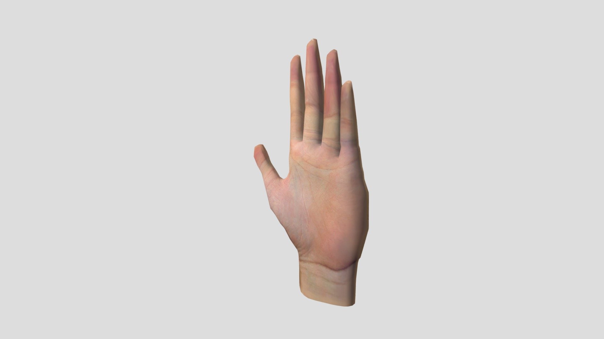 hand - Download Free 3D model by Riccardo Giannecchini (@riccardog ...