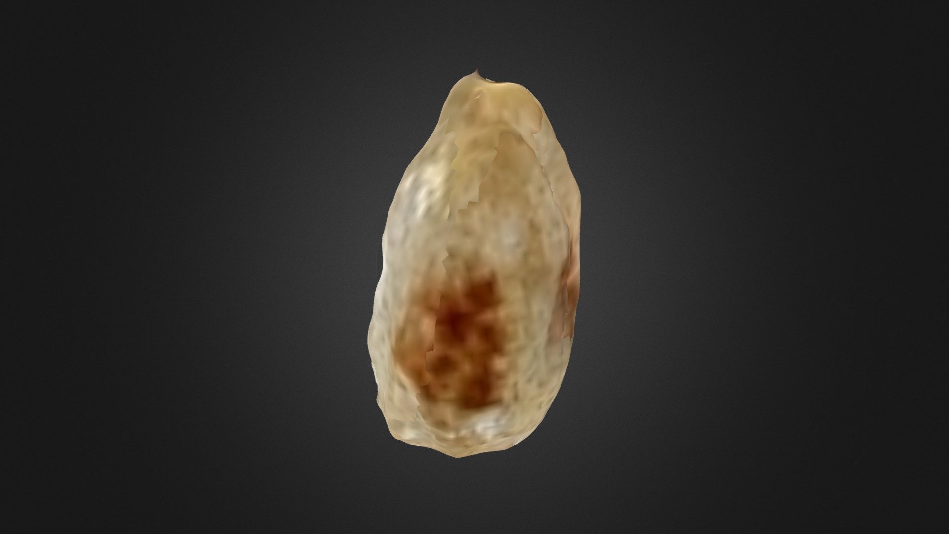 Cypraea errones Linné, 1758 - 3D model by 3D collection (@phanh1711999 ...