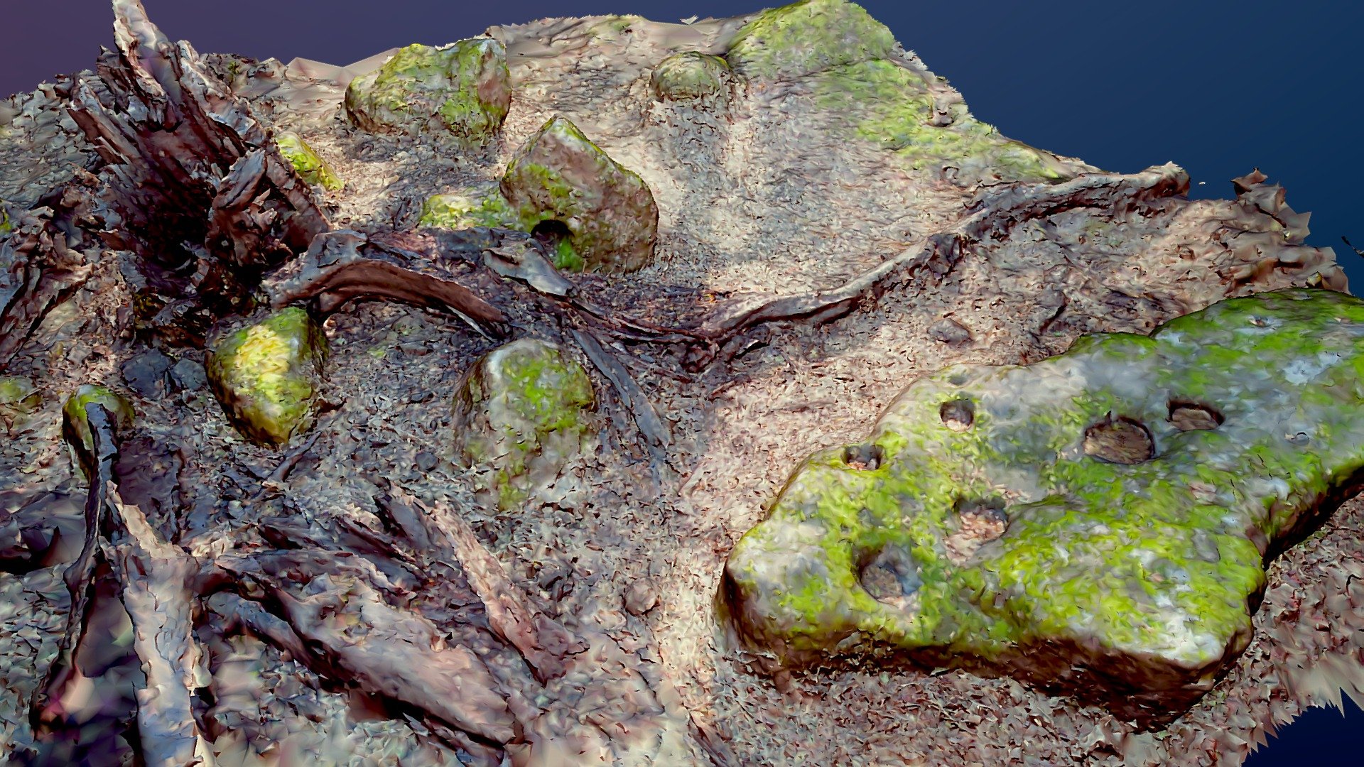 Acorn Grinding Rock - 3D model by John Toeppen (@toeppen) [b5b62f4 ...
