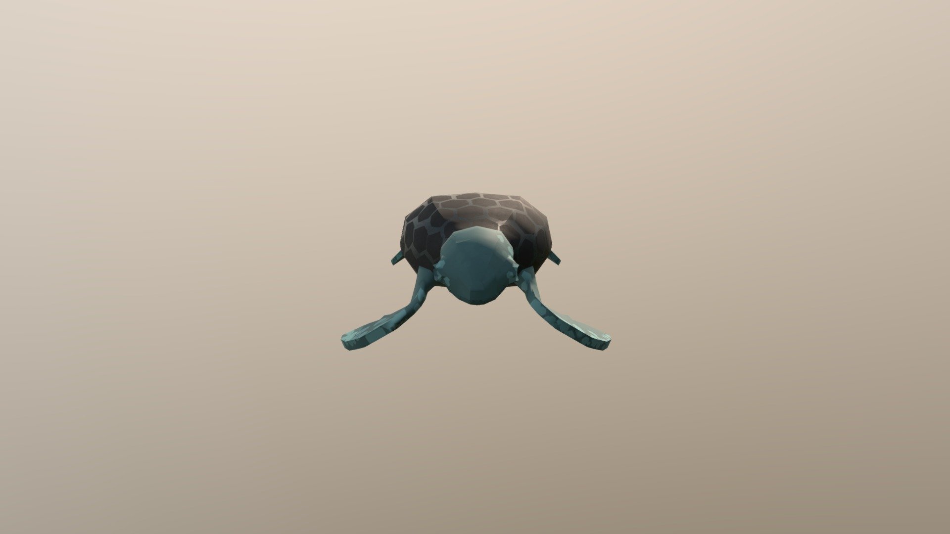 Turtle Animation - 3D model by Shannon Callaghan (@shancall) [b5b6efb ...