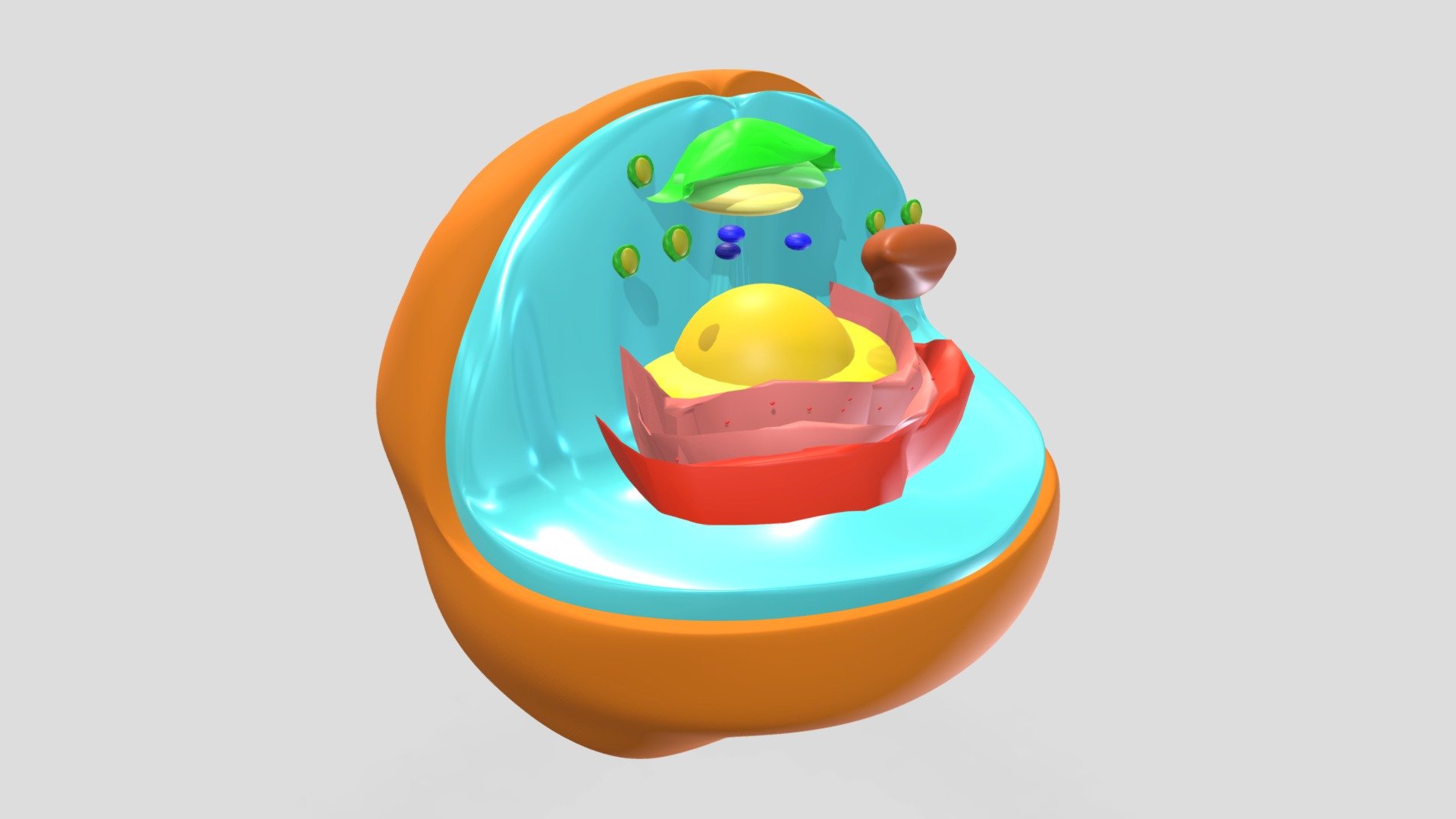 Cell - Download Free 3D model by dreigonnadoit [b5baea9] - Sketchfab