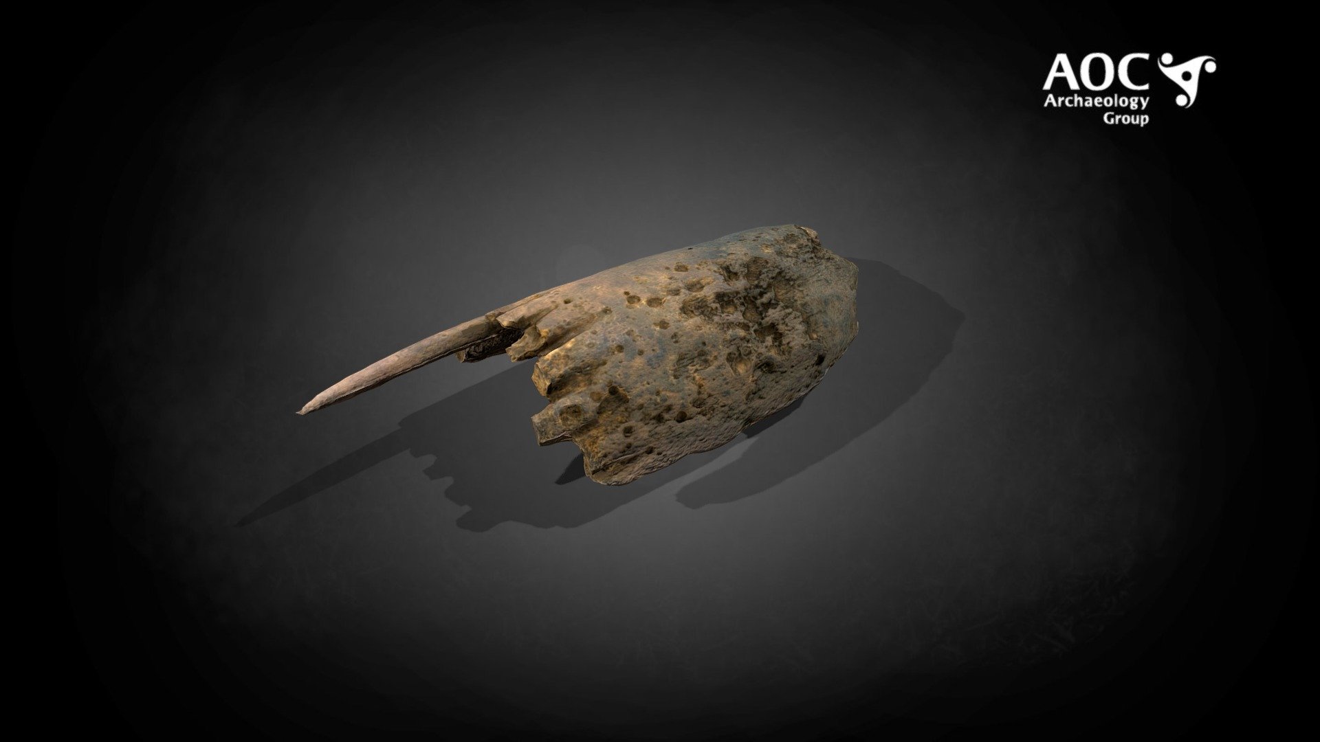 Bone comb from Clachtoll Broch - 3D model by AOC Archaeology Group ...