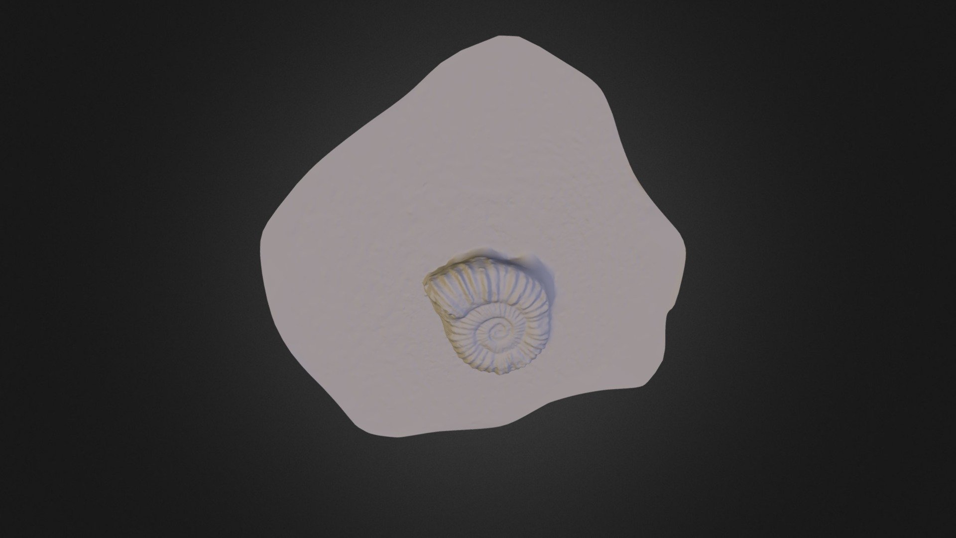 Fossil 3d 1 - 3D model by hugomes [b5c2328] - Sketchfab