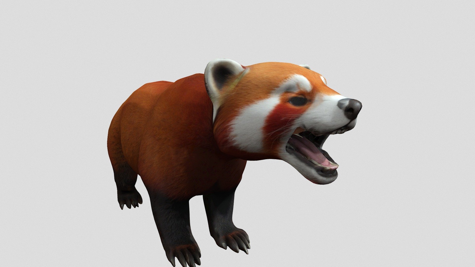 Red Panda - 3D model by GAMEBR0VIP [b5c3d78] - Sketchfab
