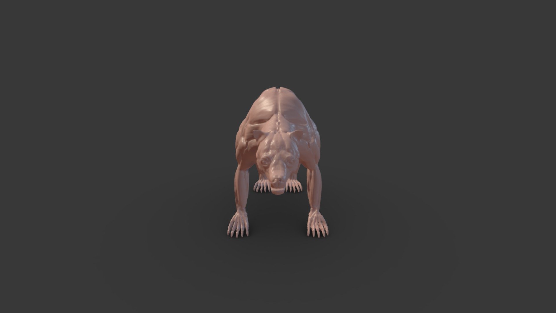 Bear Ecorche for printing - 3D model by Krile Creative (@krile-creative ...