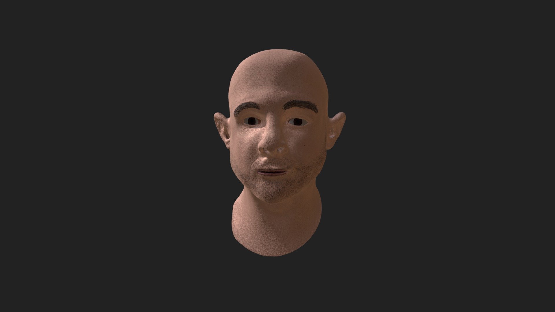 Stanley Tucci Bust Model - 3D model by SophiatheCopt [b5cdbb5] - Sketchfab