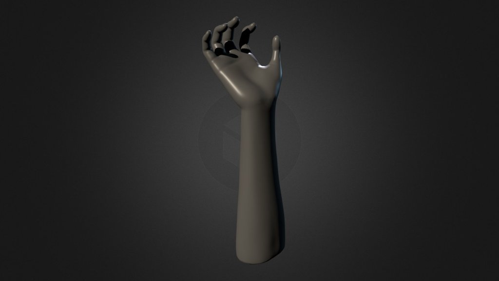Greyscale Arm and Hand Drawing Reference Pose 04 - 3D model by DitchArt ...