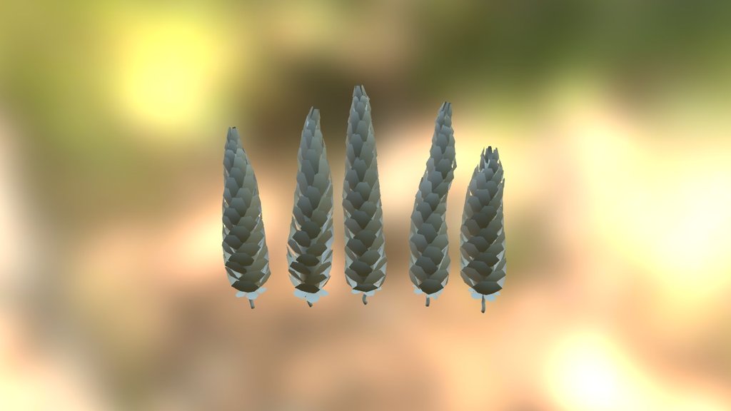 Seed 49 White Pine - 3D model by Stephen Tucker (@stucker) [b5d5313 ...