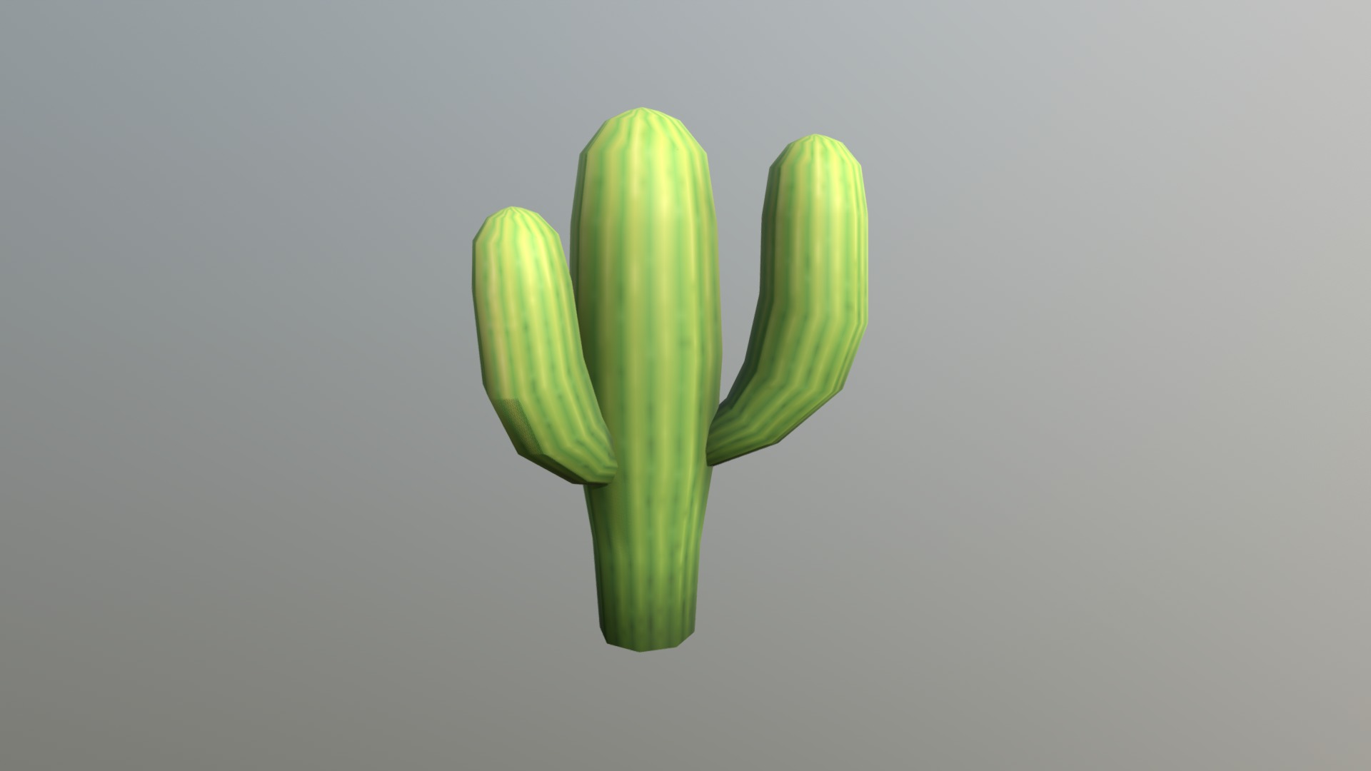 Cactus - 3D model by SmileBoom_SGB [b5d6cb1] - Sketchfab