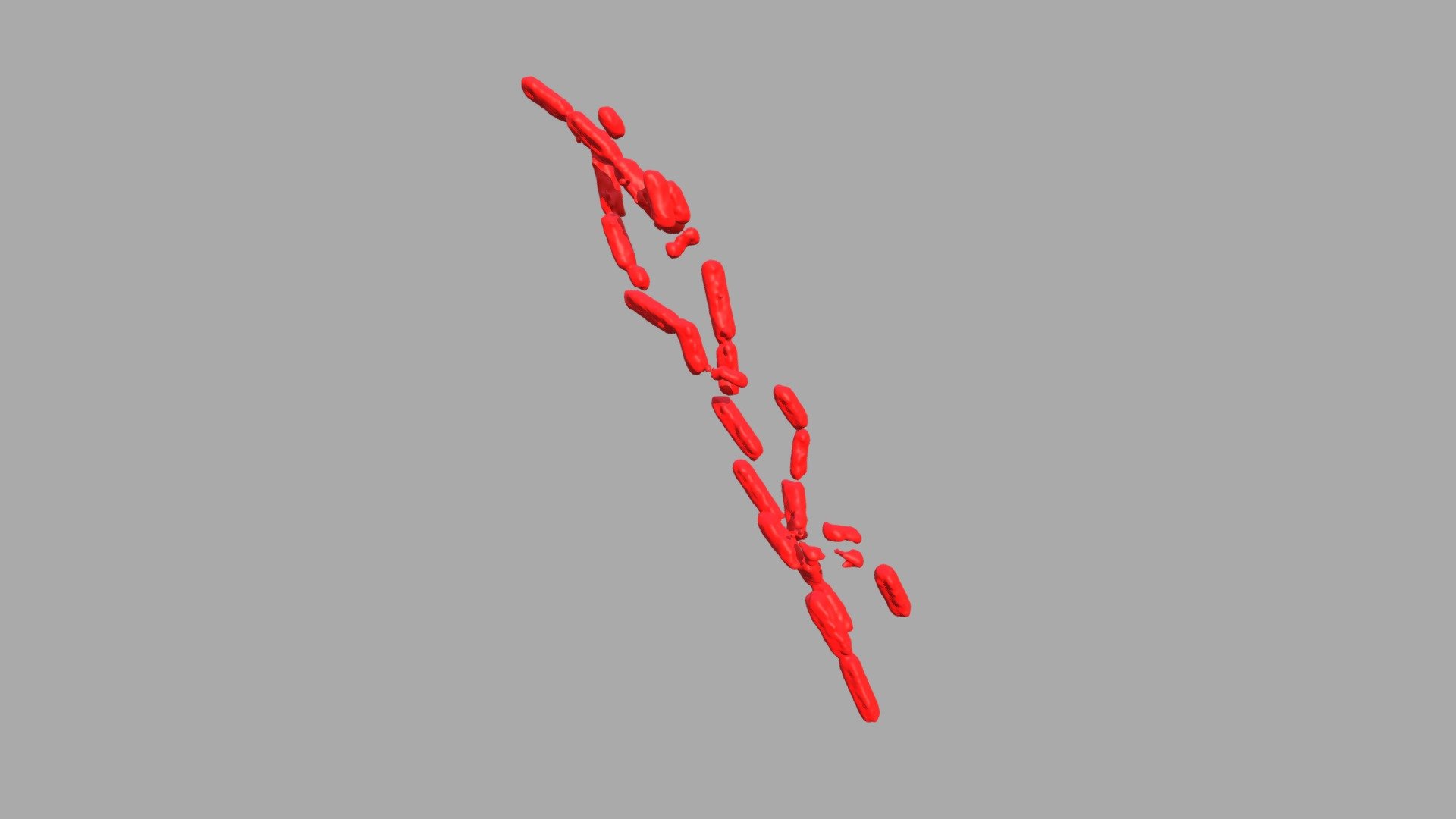 Au nanorods decorated protein fibrils - 3D model by NClaes [b5da914 ...