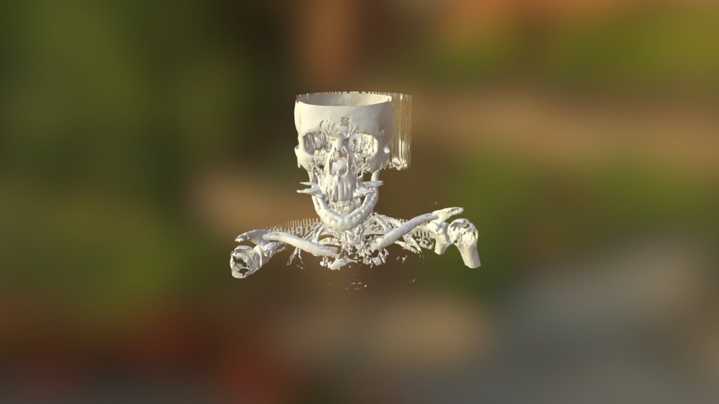 Head Shot from Scan - 3D model by demoSMN [b5dacd8] - Sketchfab