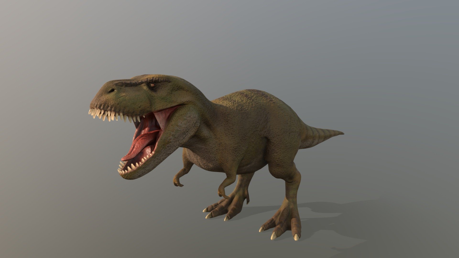 Tyrannosaurus Rex - 3D model by jdbensonCG (@bjohndavid21) [b5dee2b ...