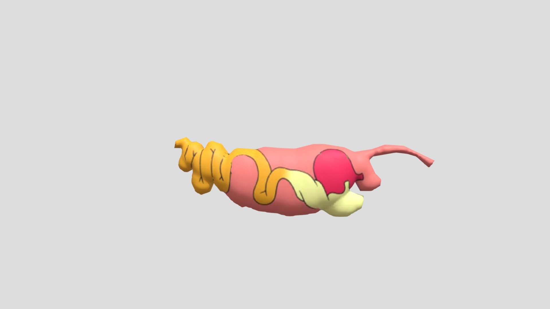 pencernaan sapi - Download Free 3D model by agussuka123 [b5e1293 ...