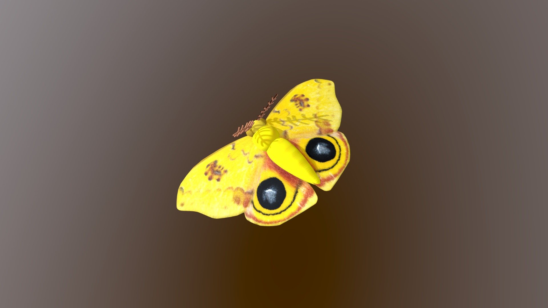 Io moth - 3D model by butterflybliss (@ZorDob) [b5e9738] - Sketchfab