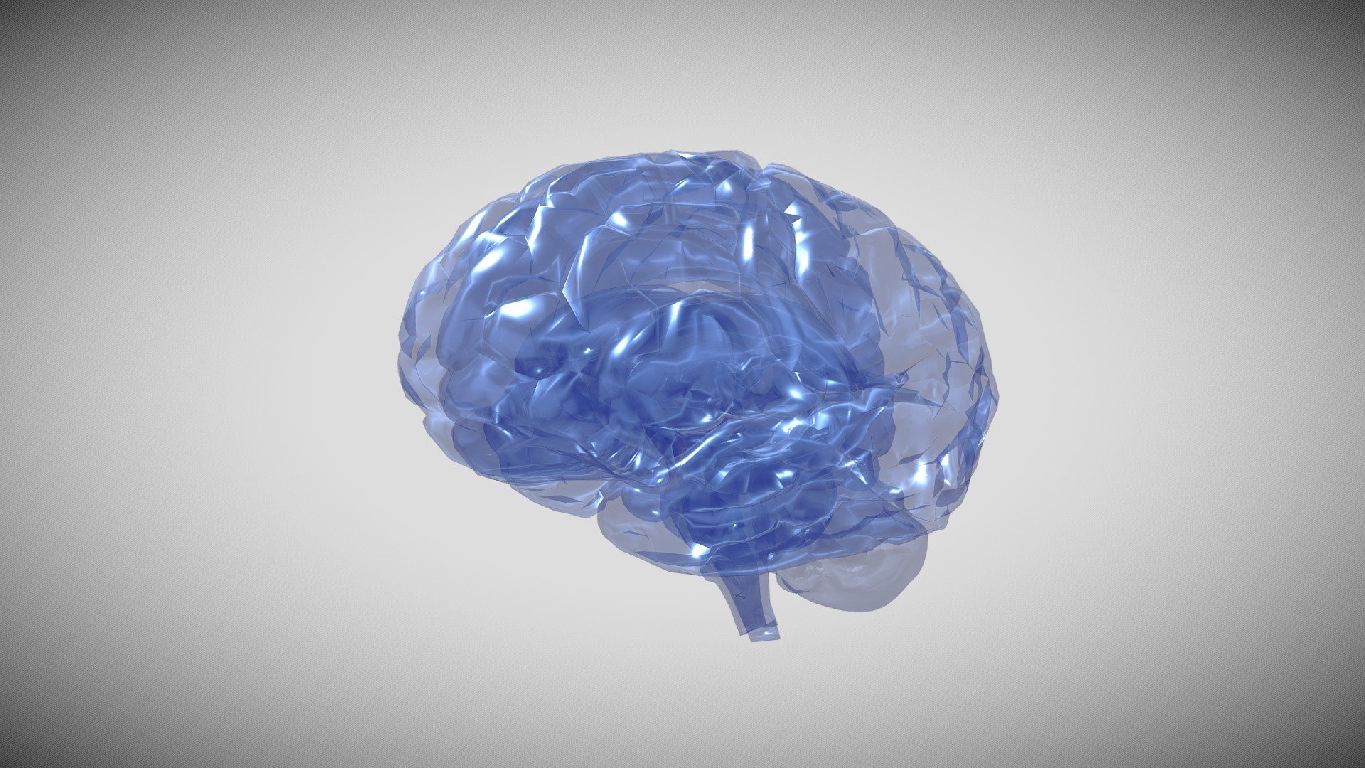 Glass Brain - 3D model by Franco.Basilio [b5f492d] - Sketchfab