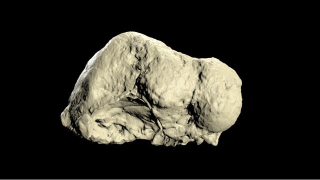 Archosaur 3D models - Sketchfab