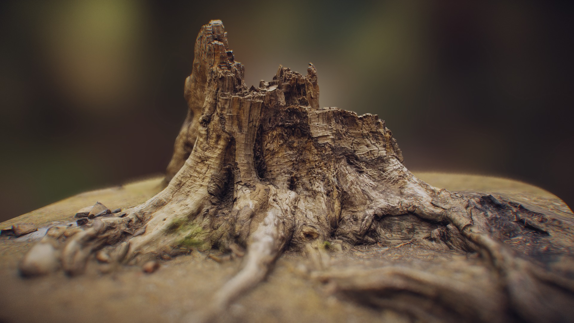 Old Tree Stump 5 - 3D model by Shiva3D [b5fc908] - Sketchfab