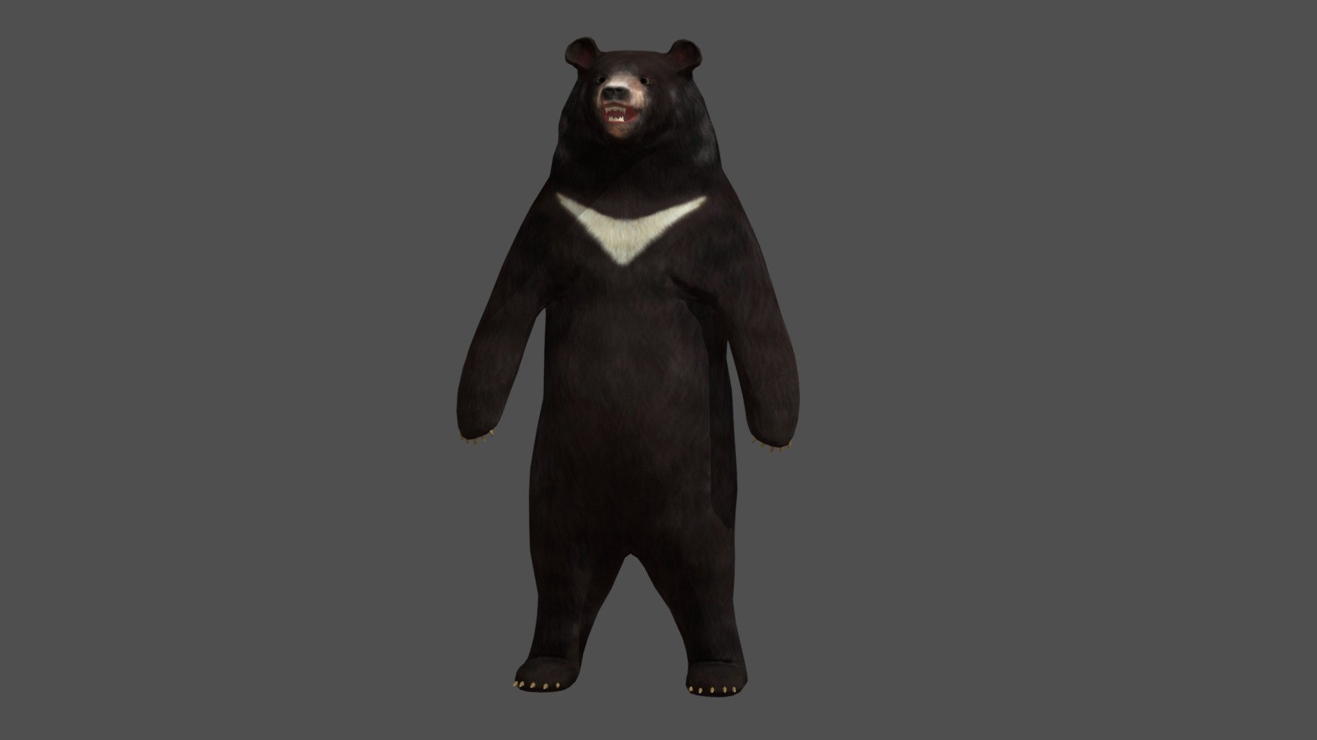 black bear (idle) - 3D model by yehyinghsuan [b601fe3] - Sketchfab