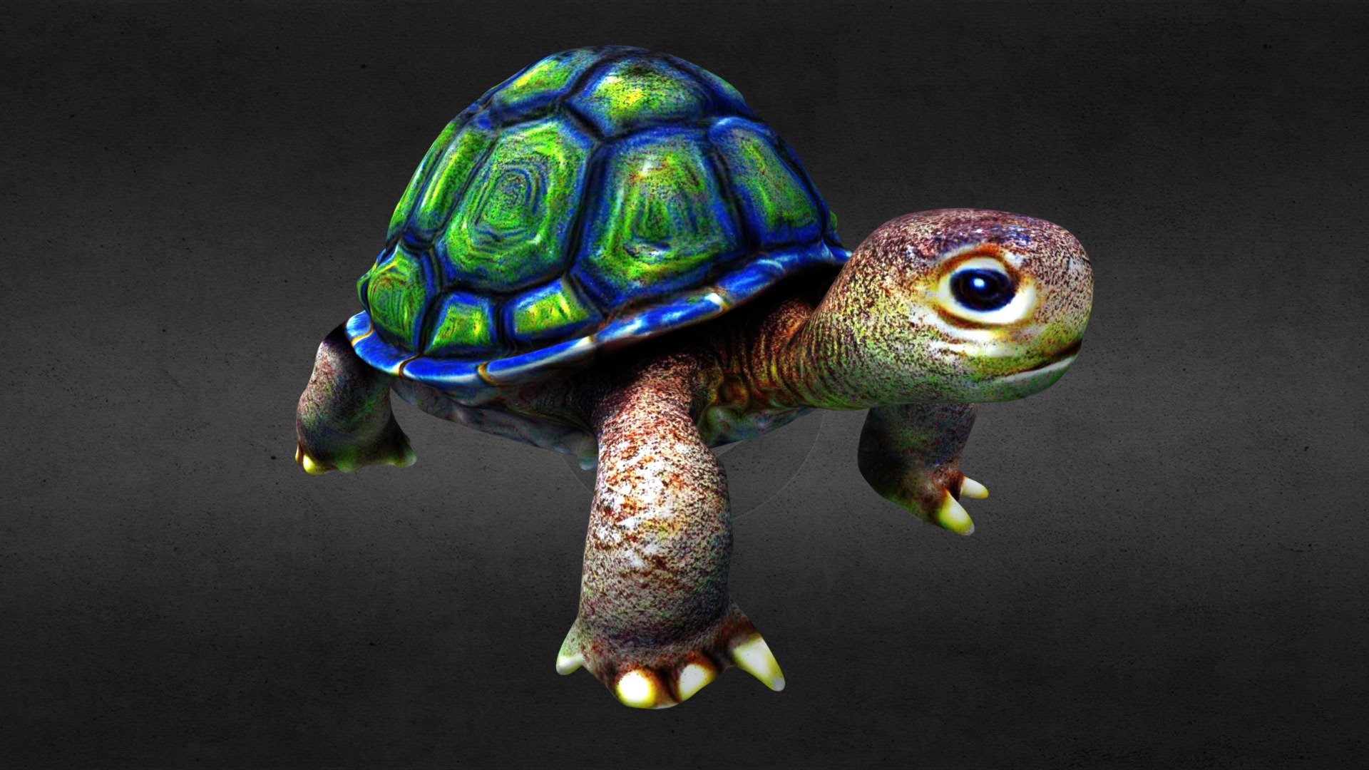 Green Blue Shell Turtle - Buy Royalty Free 3D model by GAM3D (@gam3d ...