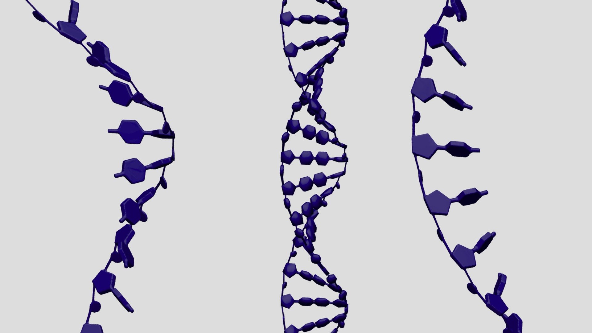 DNA and Description - 3D model by Depna [b60d4f5] - Sketchfab
