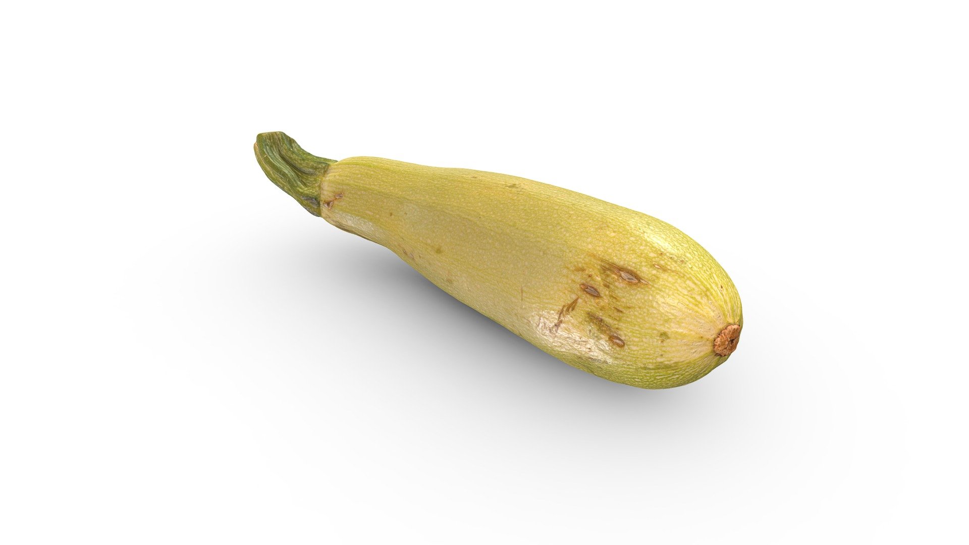 Yellow Squash - 3D model by RawCatalog.com (@rawcatalog) [b60f746 ...