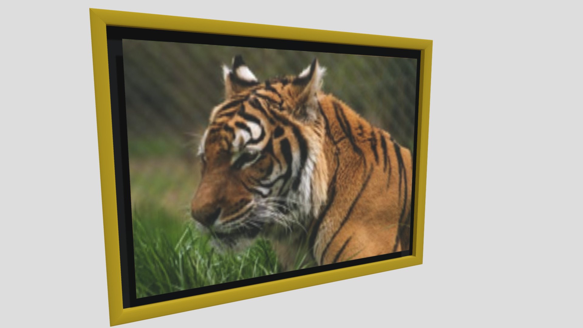Tiger_Frame_2024 - 3D model by apple102 [b61ca99] - Sketchfab