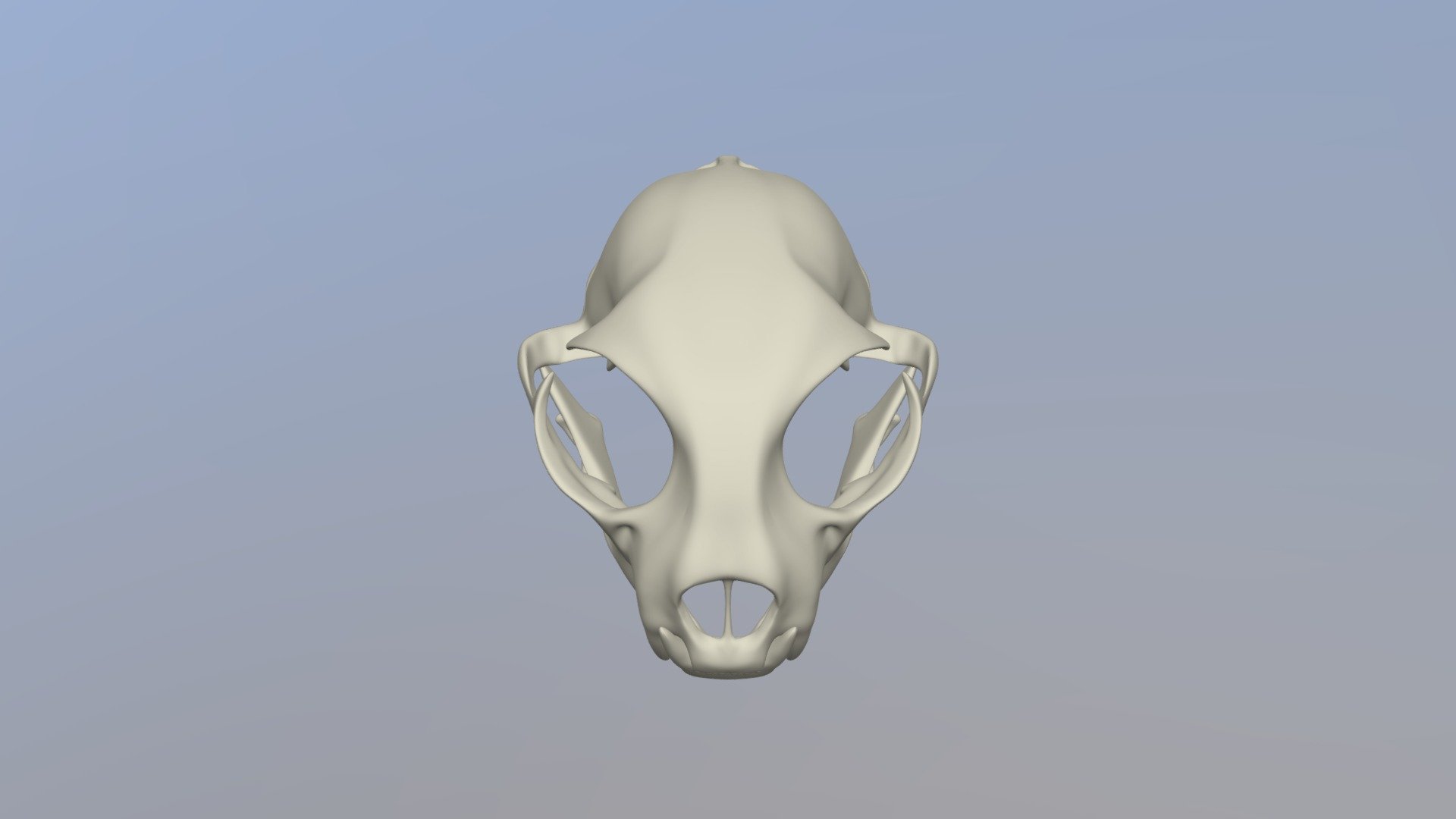 Cat Skull - 3D model by mishchenkoboh [b61d268] - Sketchfab