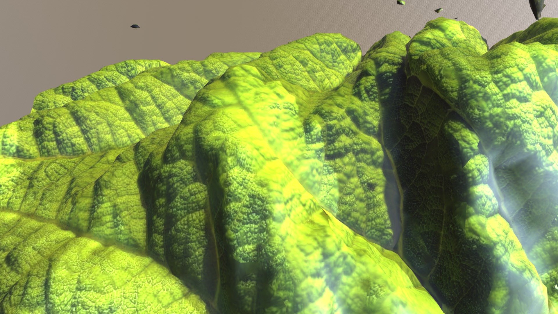 Leaf - 3D model by arodic [b627c70] - Sketchfab