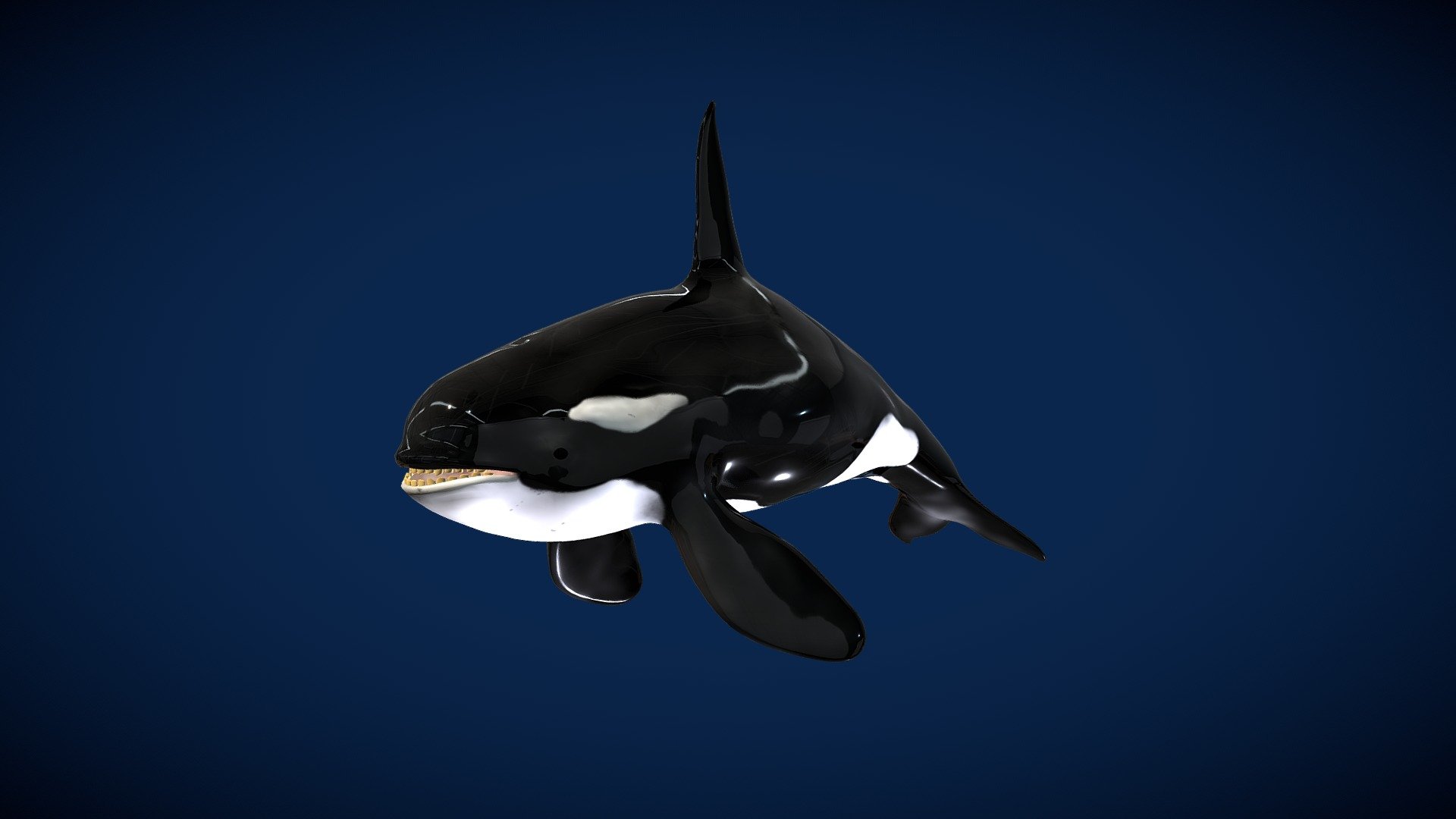 Orca- Rigged - Buy Royalty Free 3D model by Luciano Filicetti ...