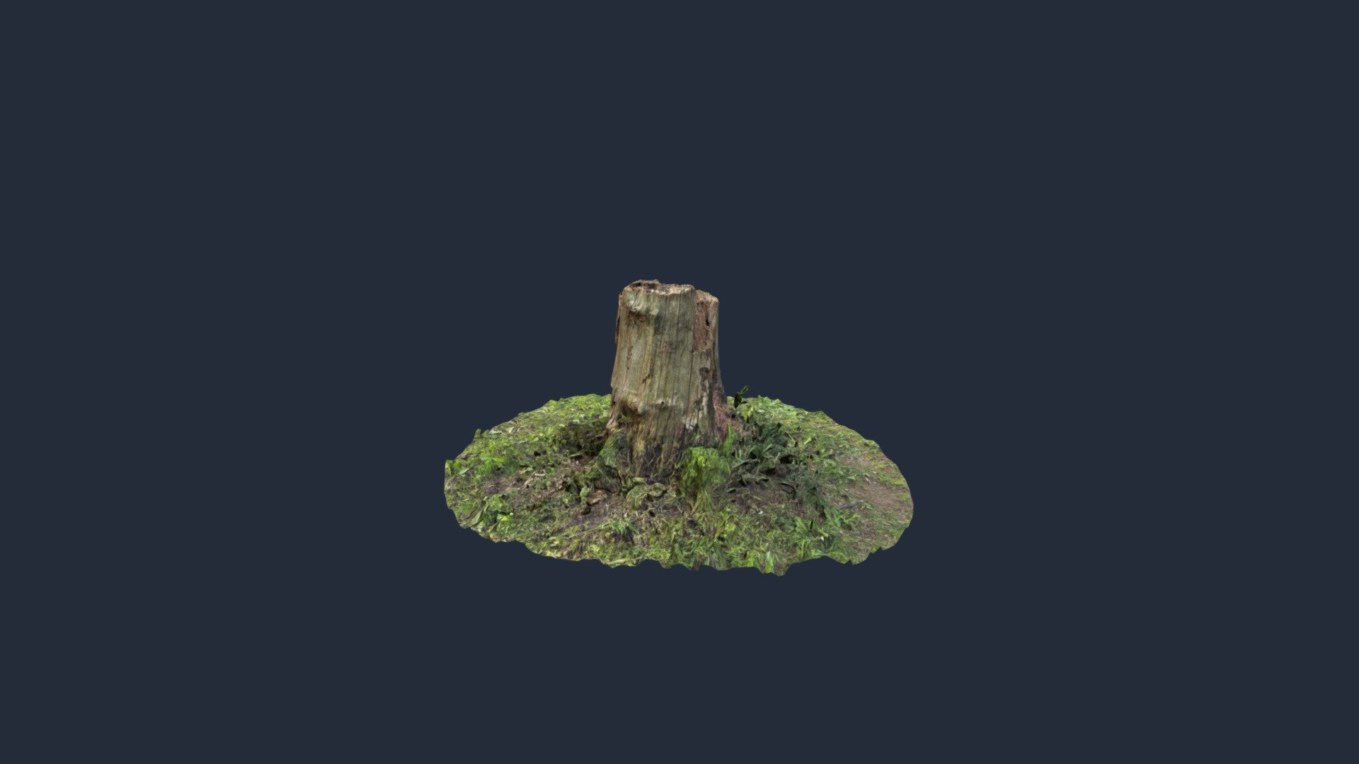 Tree stump - Download Free 3D model by 3DLandskap.no (@3dlandskap ...