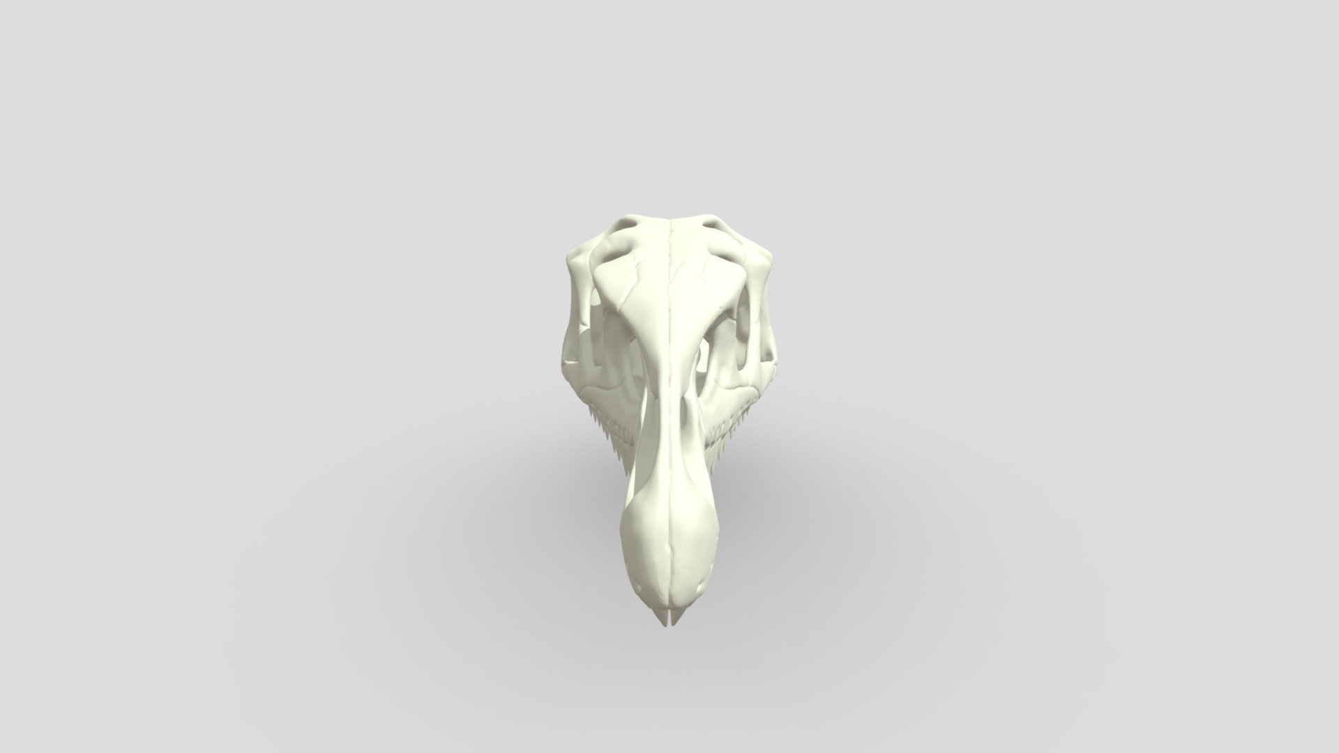 Archosaurus rossicus - 3D model by IvanBelousov18 [b630d74] - Sketchfab