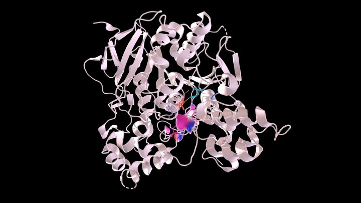 Acetylcholinesterase 3D models - Sketchfab