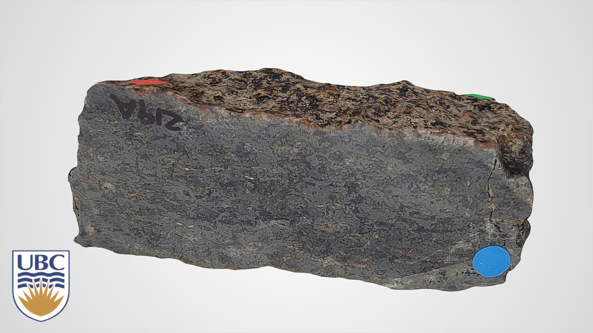 Skaergaard intrusion UZc (SEB87-219A) - 3D model by Nichole Moerhuis ...