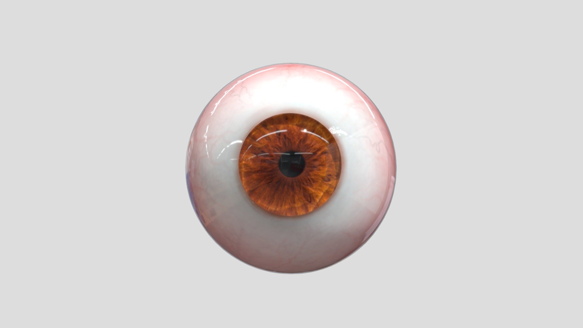 Brown Eye - Download Free 3D model by trymy (@ryancreay) [b65bd2d ...