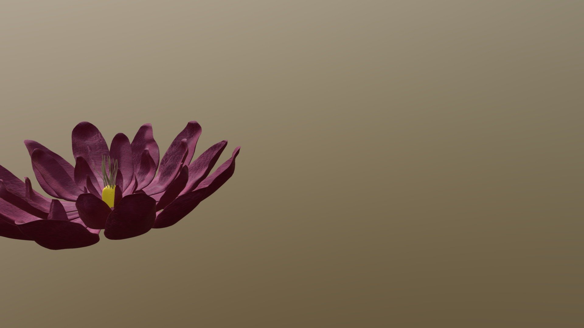 Lotus Flower - Download Free 3D model by IArtoriasI [b65f37f] - Sketchfab