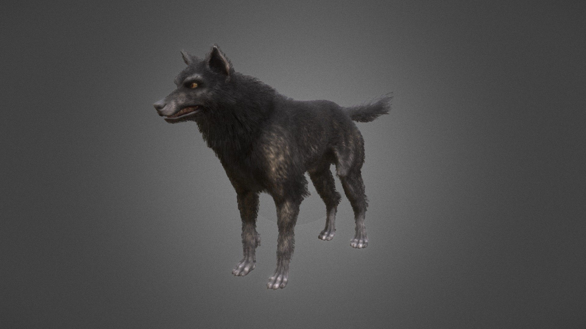 Wolf - 3D model by IronShy [b66fdc3] - Sketchfab
