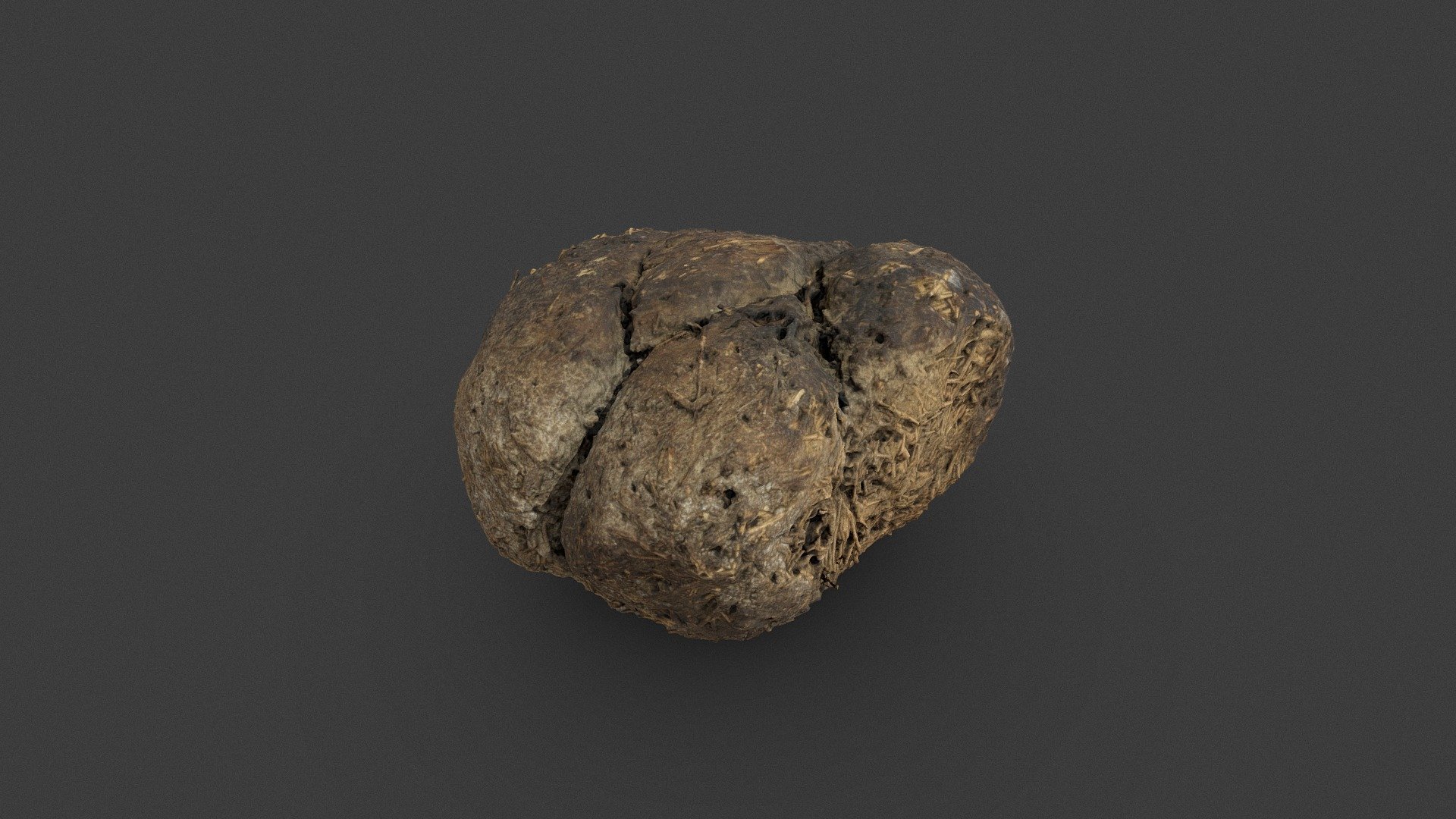 Nothrotheriops Shastensis - Download Free 3D model by The Smithsonian ...