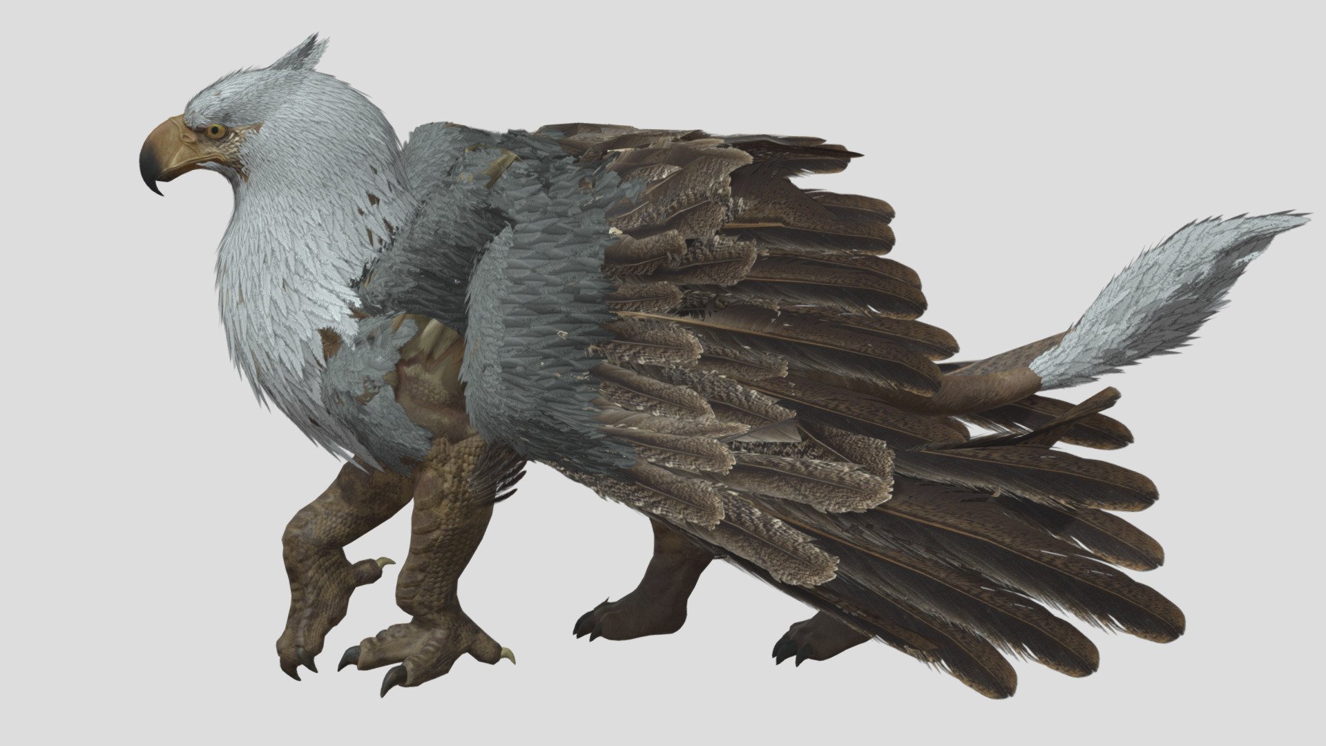 Griffin Animated - 3D model by monstermod [b67d3f0] - Sketchfab