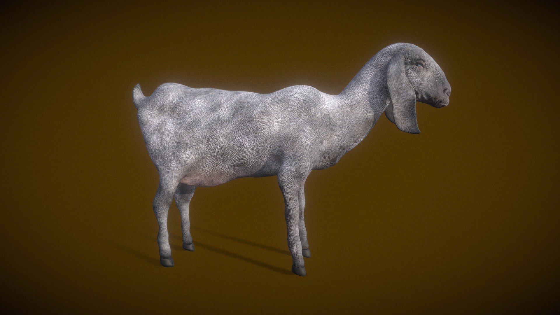 Goat - Buy Royalty Free 3D model by Luciano Filicetti ...