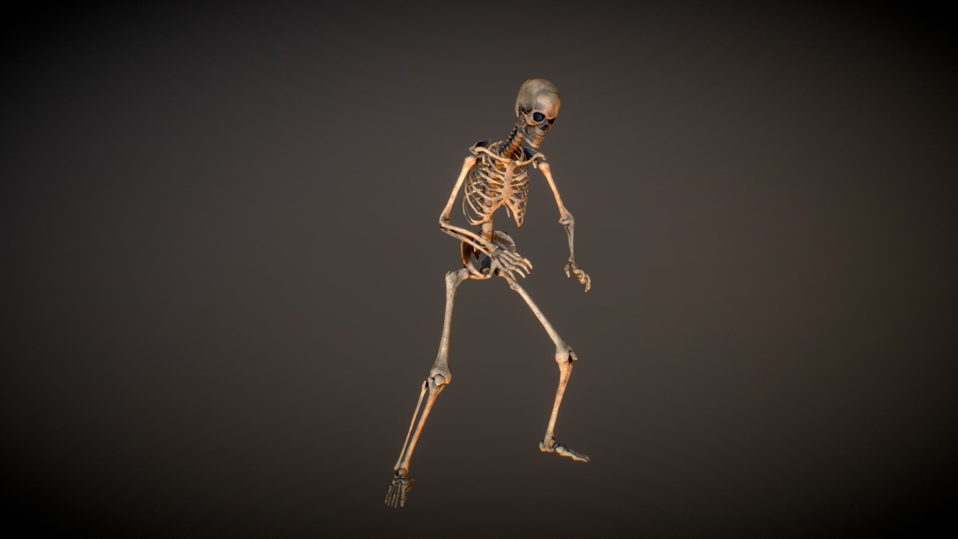 Skeleton Rig Test Attack - 3D model by maimo [b68003d] - Sketchfab