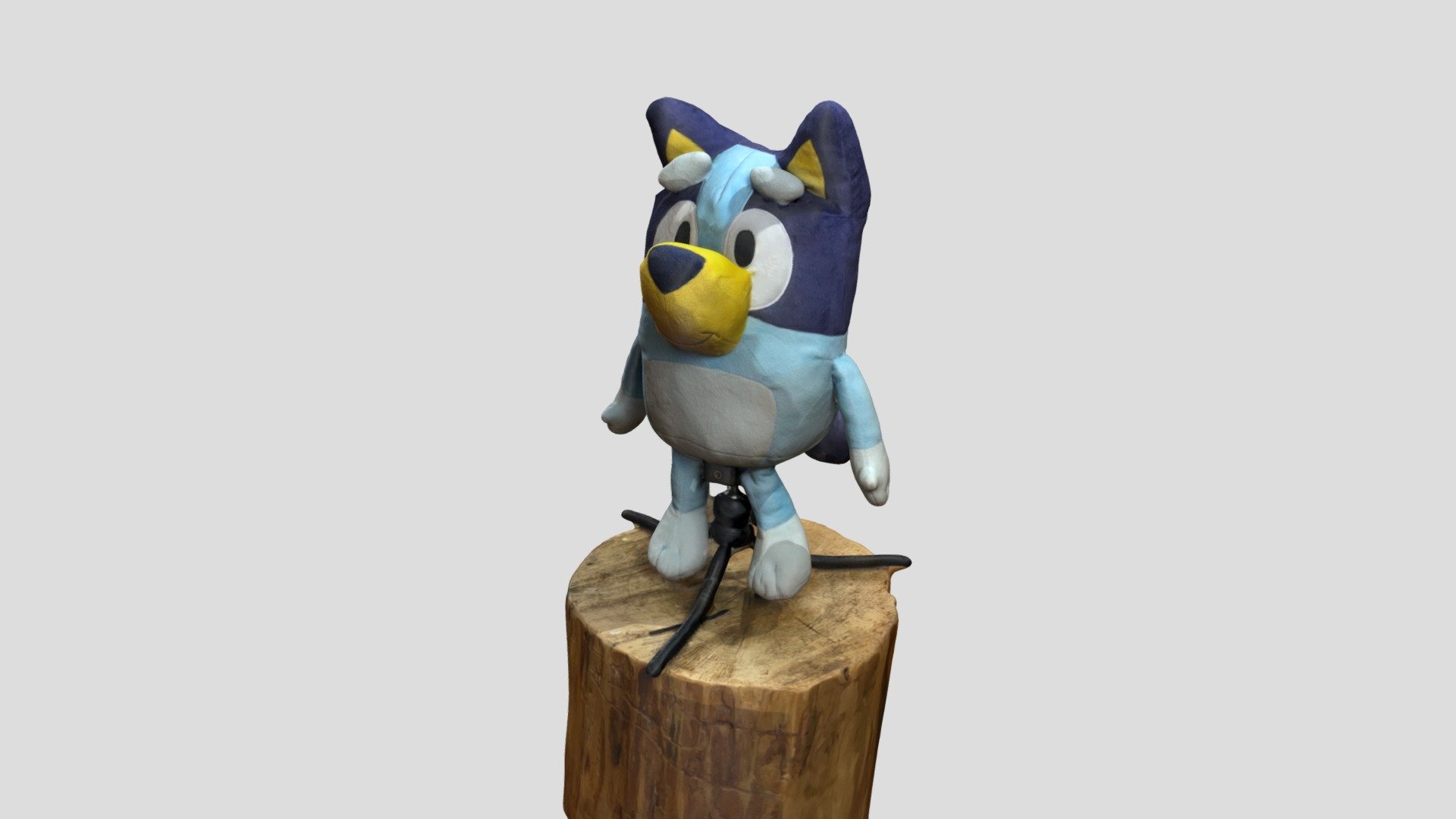Bluey - photos polycam - Download Free 3D model by Momo ...