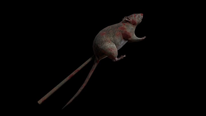 Fivem 3D models - Sketchfab